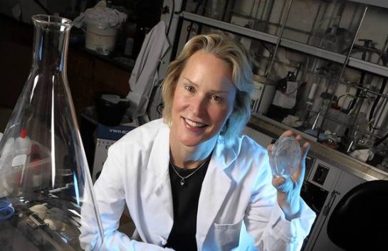Frances Arnold: Forjando un difícil camino hacia el Premio Nobel de ...