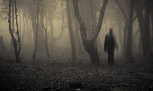 Los Bosques más tenebrosos del mundo – Actividad Paranormal al extremo ...