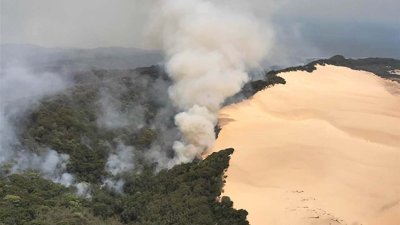 Incendios forestales en Australia arrasan isla declarada patrimonio ...