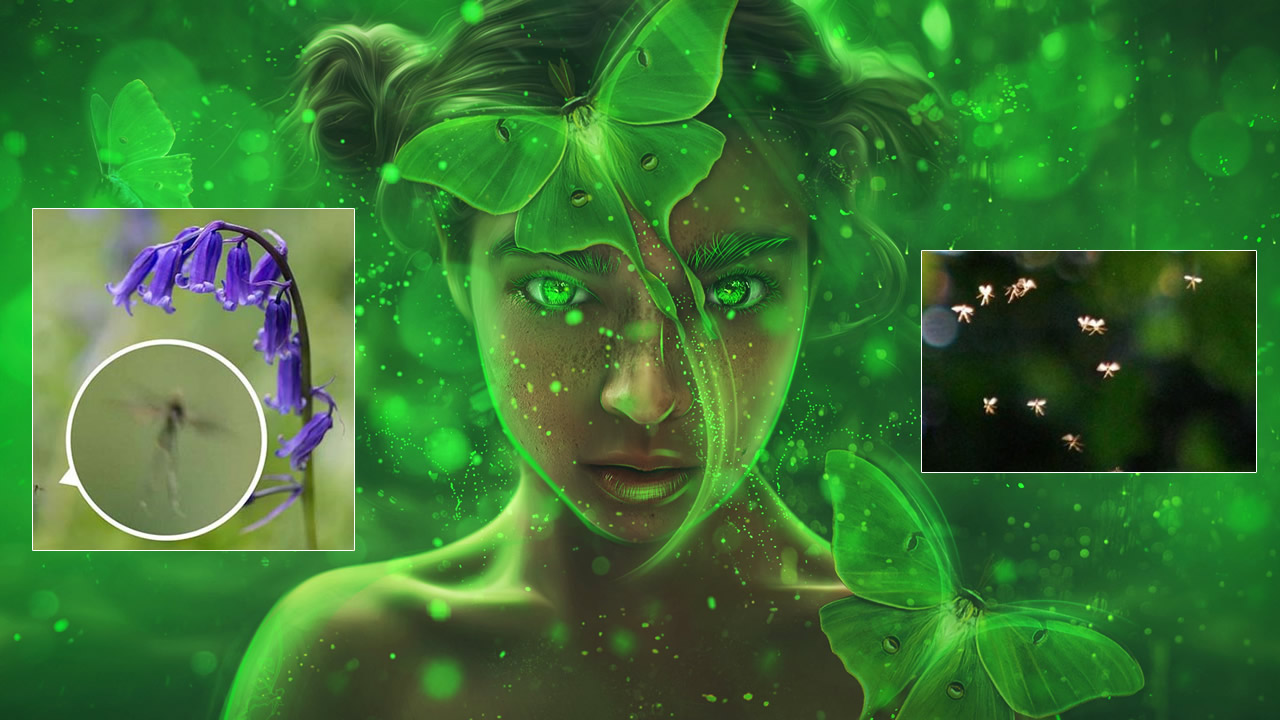 Las Hadas, ¿Existen o son producto de la mitología? | CODIGO OCULTO