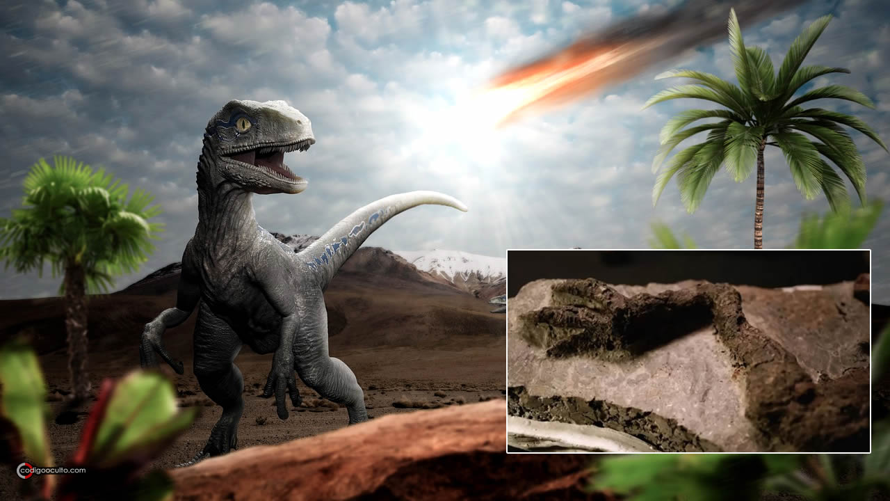 Descubren fósil de dinosaurio que “murió el mismo día” que un asteroide los extinguió | CODIGO ...
