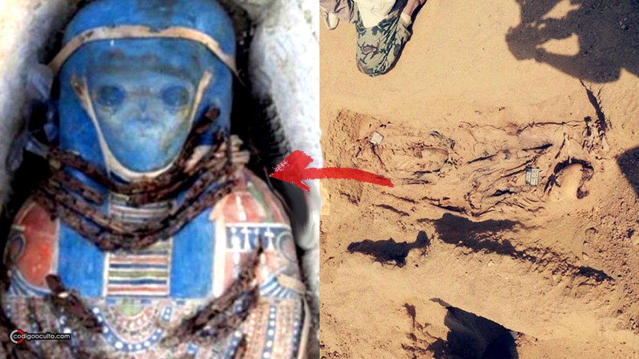 Descubierto en Egipto un cementerio con más de “un millón de momias ...