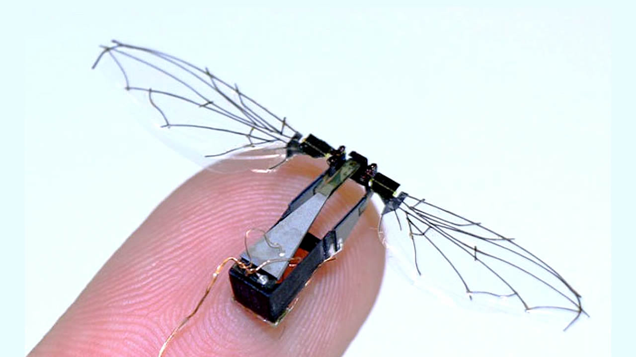 RoboBee: el impresionante “insecto robot” volador | CODIGO OCULTO