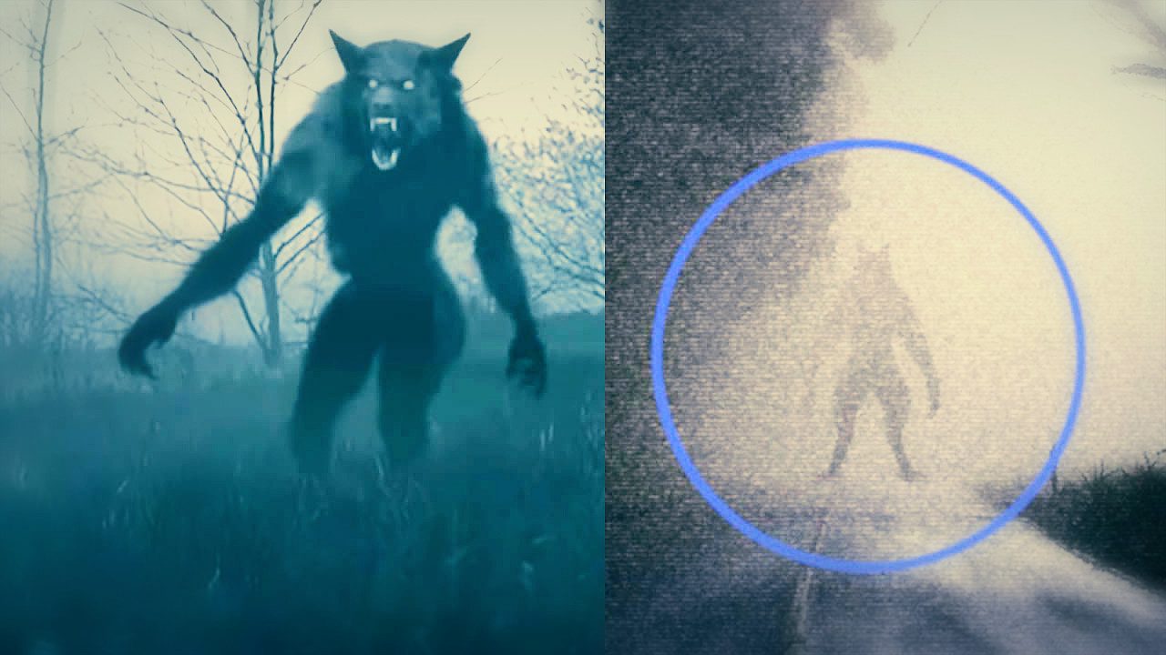 La Bestia de Bray Road: el misterio del “Hombre Lobo norteamericano ...