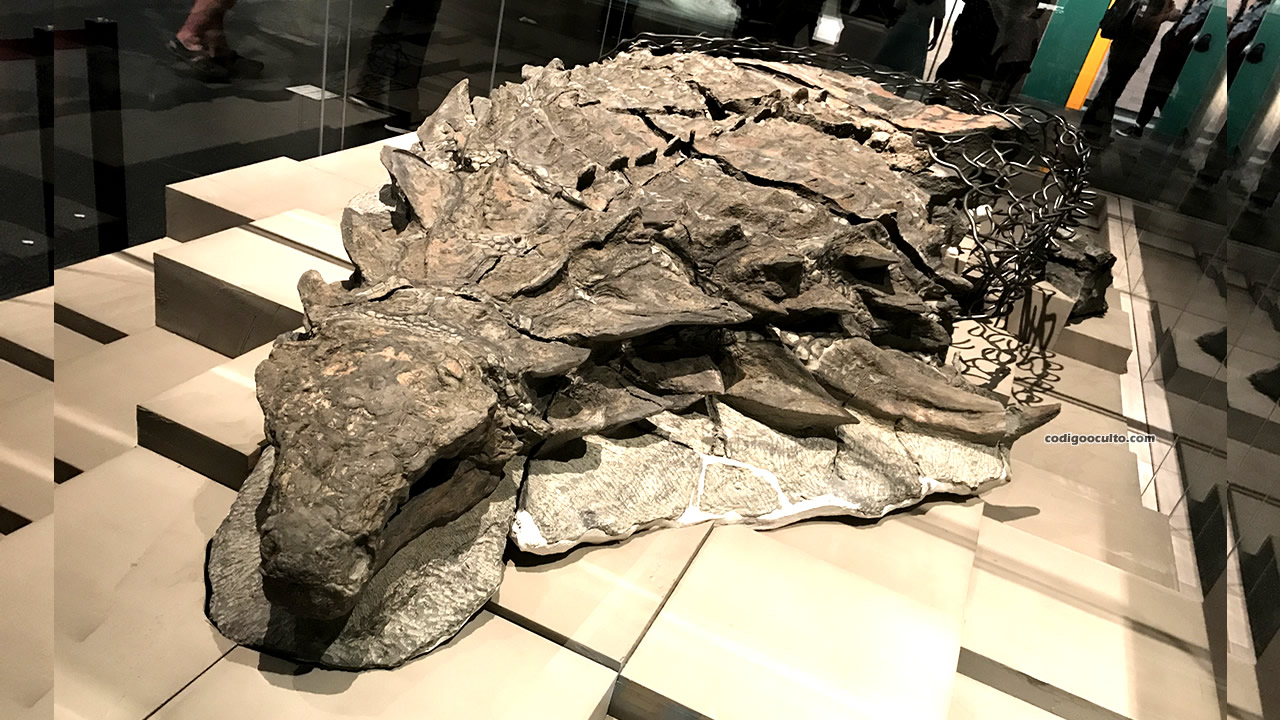 Científicos hallan la “cara” completa de un dinosaurio y con piel ...