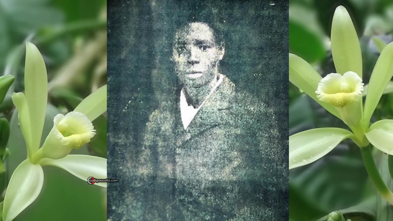 Edmond Albius, el joven esclavo que logró la fecundación artificial de ...