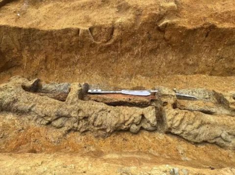 Desentierran espada gigante “mata-demonios” de 1.600 años en Japón ...