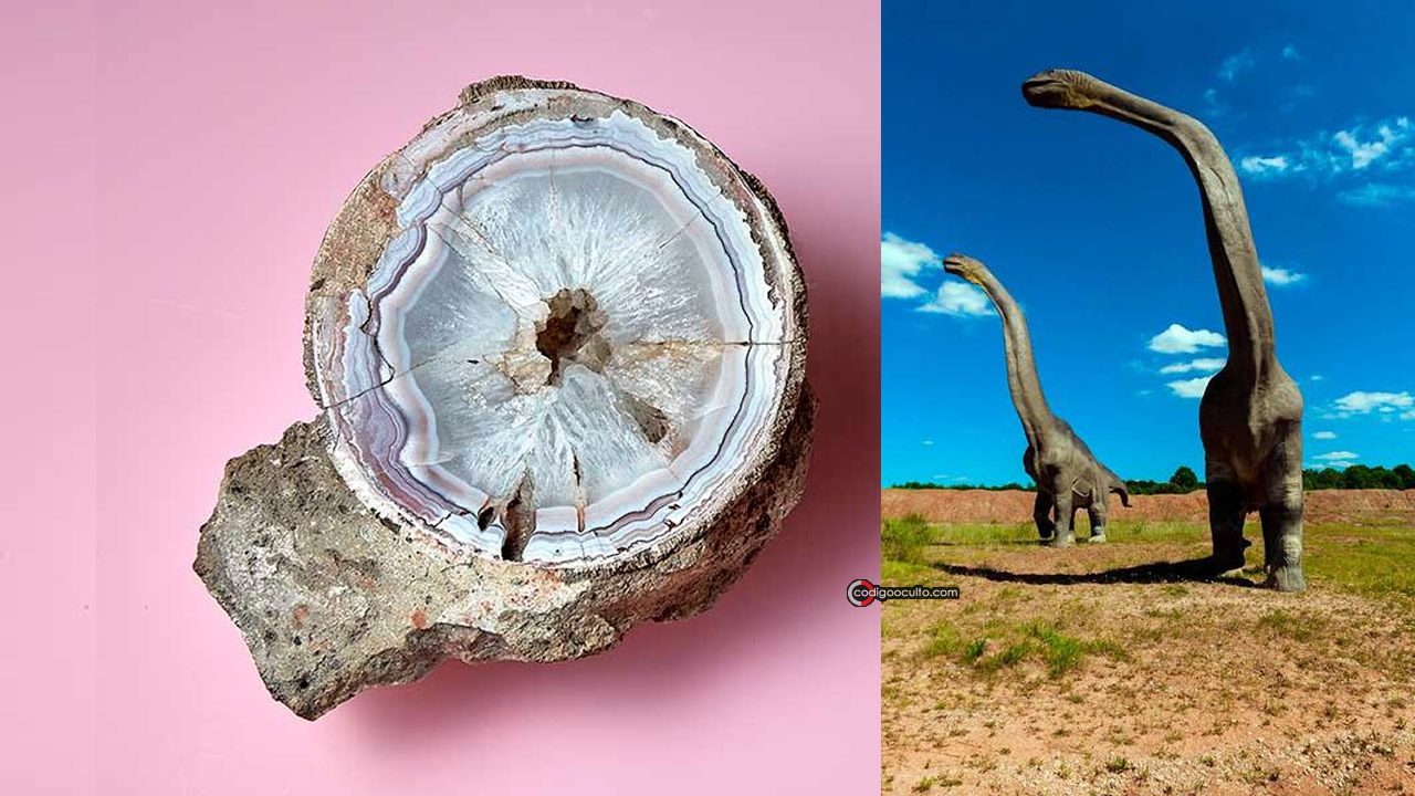 Roca hallada con una impresionante ágata resulta ser un huevo de ...