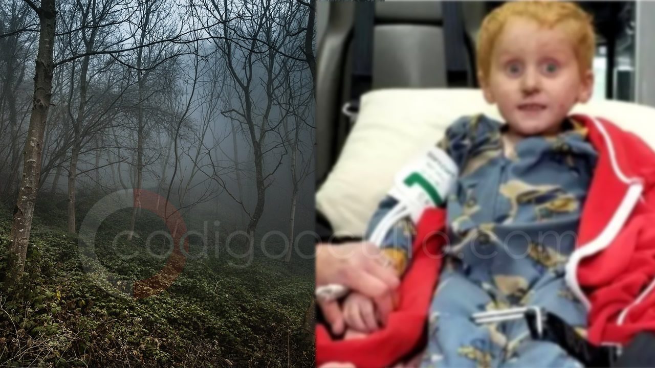 Ryker Webb: el niño de tres años que “vivió un infierno” tras perderse ...