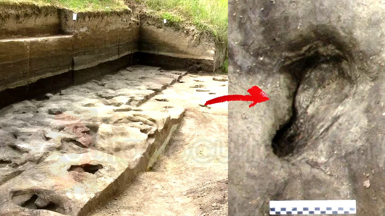 Descubren la huella humana más antigua: del extinto “pueblo de ...