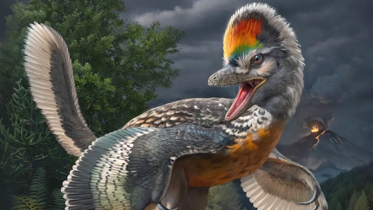 Paleontólogos hallan el posible “eslabón perdido” entre dinosaurios y ...