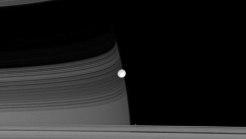 Encélado, luna de Saturno alberga una fuente importante de vida y una ...