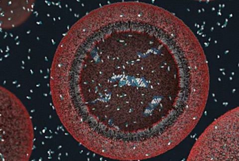 Científicos aseguran haber descubierto cómo empezó realmente la vida en ...