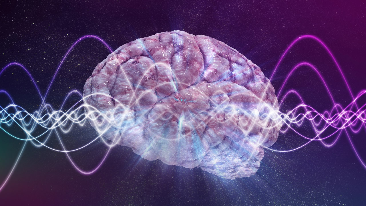 Las fibras nerviosas del cerebro podrían generar entrelazamiento ...