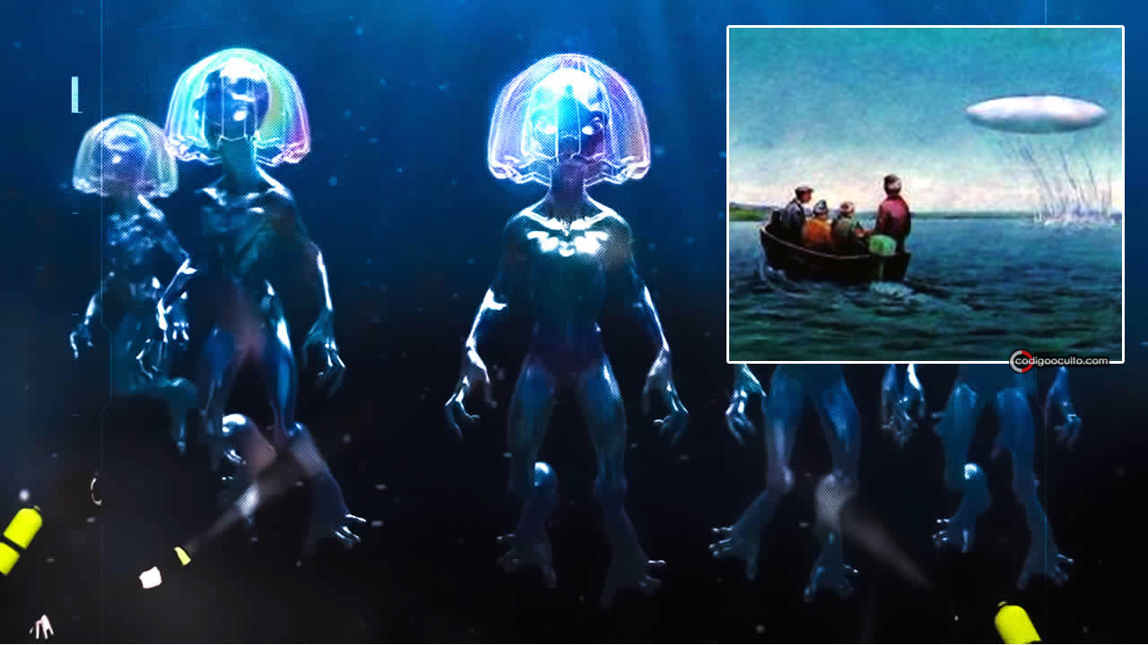Extraños encuentros con criaturas inteligentes no humanas en mar y ...