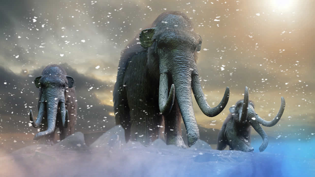 El mamut lanudo más cerca que nunca de volver a la vida. ¿Tiene sentido ...