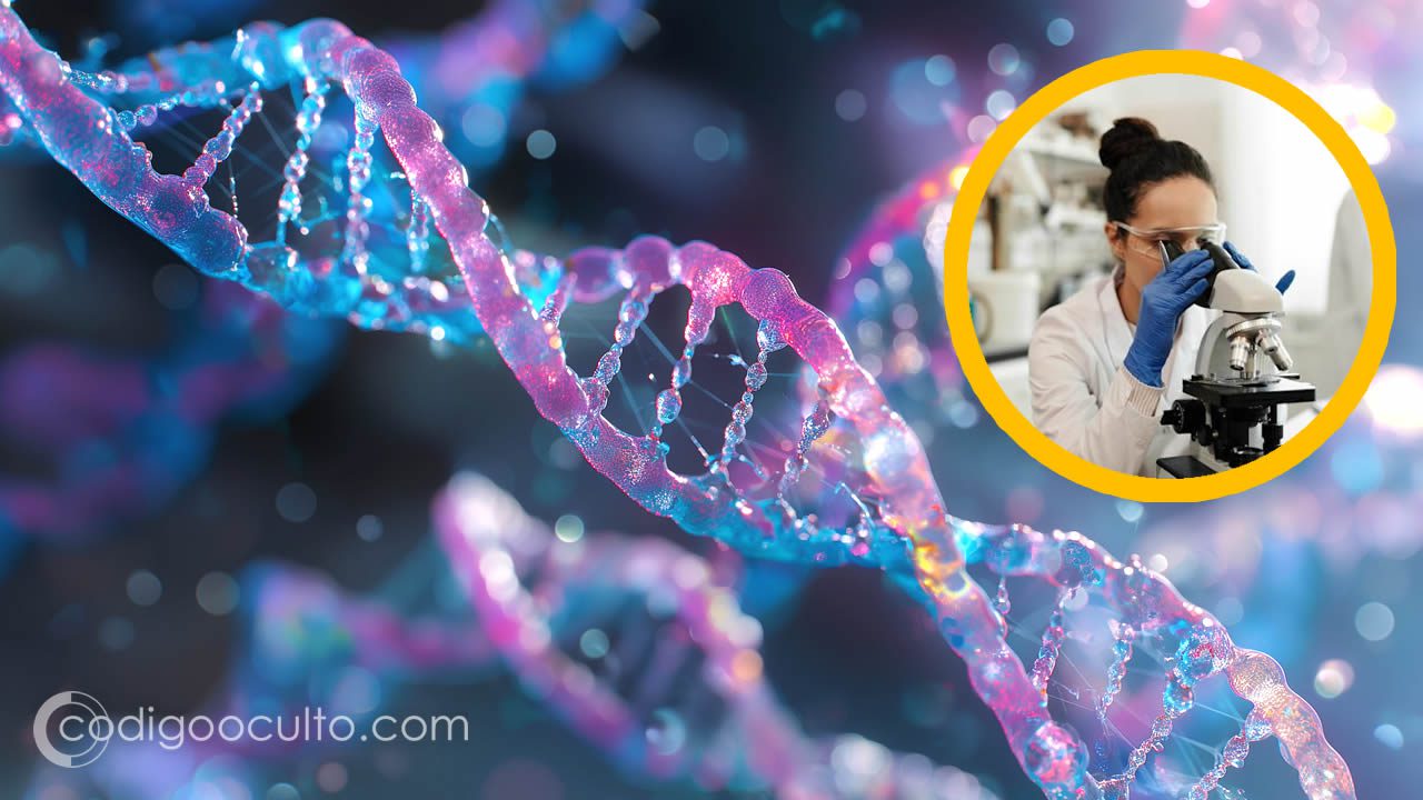 Científicos inician un controvertido proyecto para crear ADN humano ...